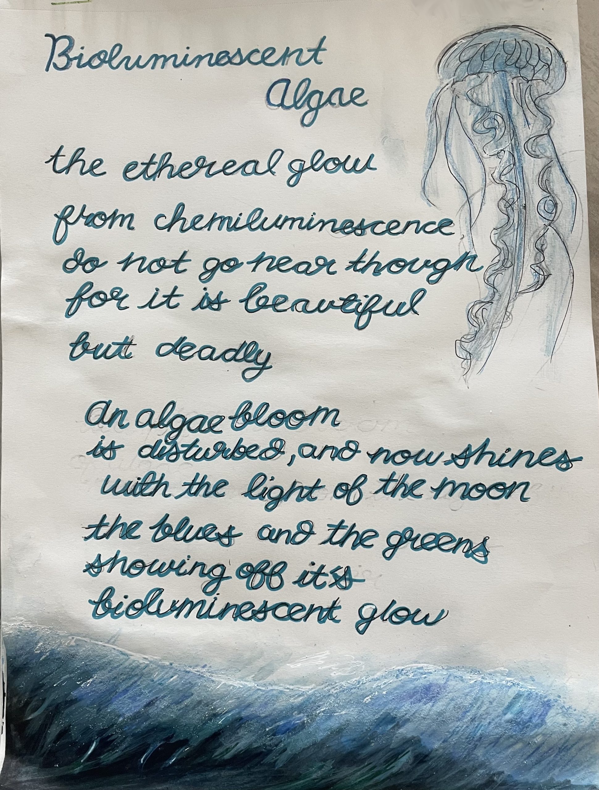 2023 CCEW Illustrated Poem Contest: The Results - Orlando Section of ...