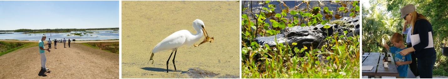 Elemental Encounters – Meet-up Events in Spring 2025 - Orlando Section ...